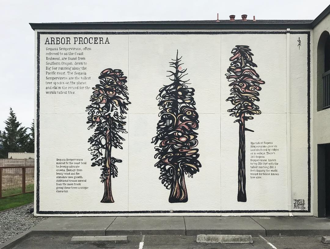 Joshua Martel - Spokane Arts