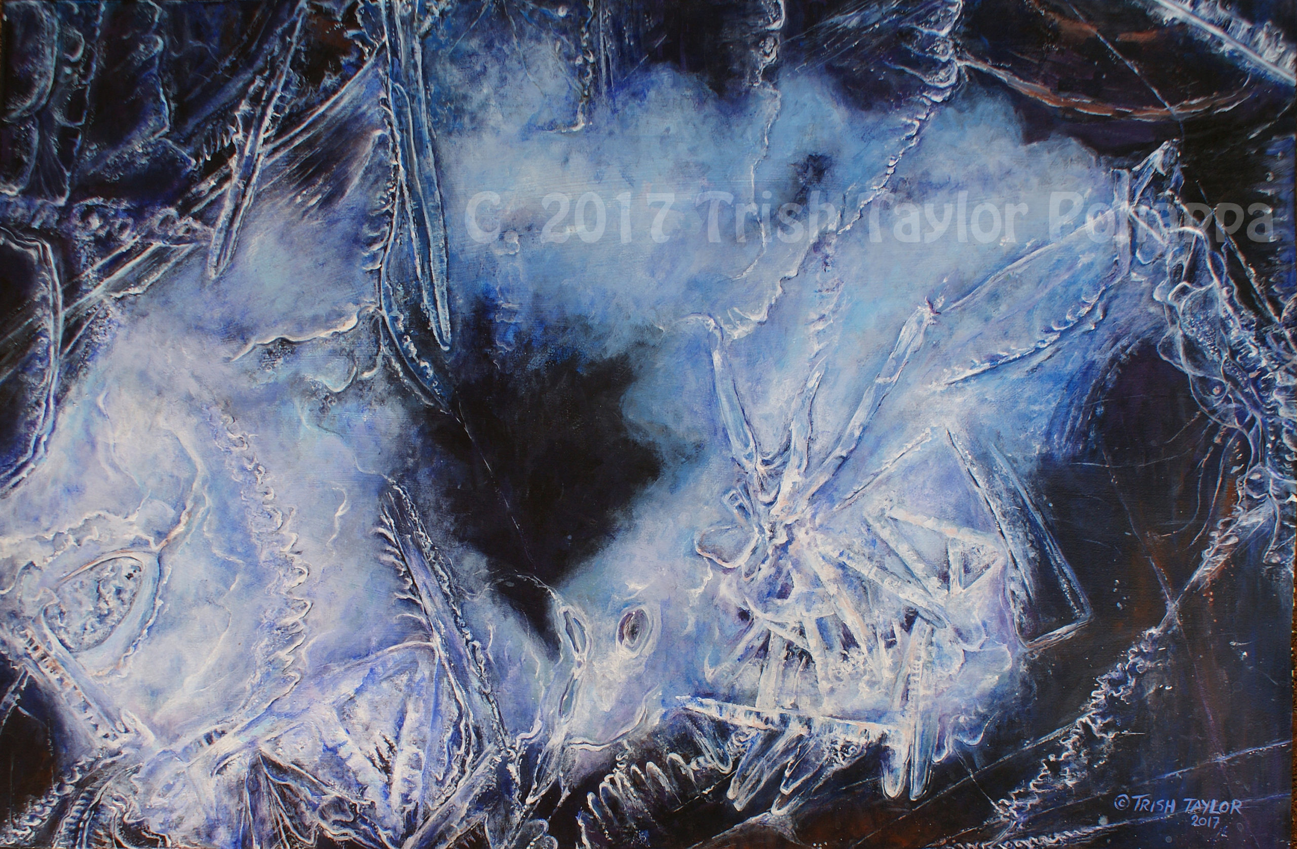 Patricia "Trish" Taylor - Spokane Arts