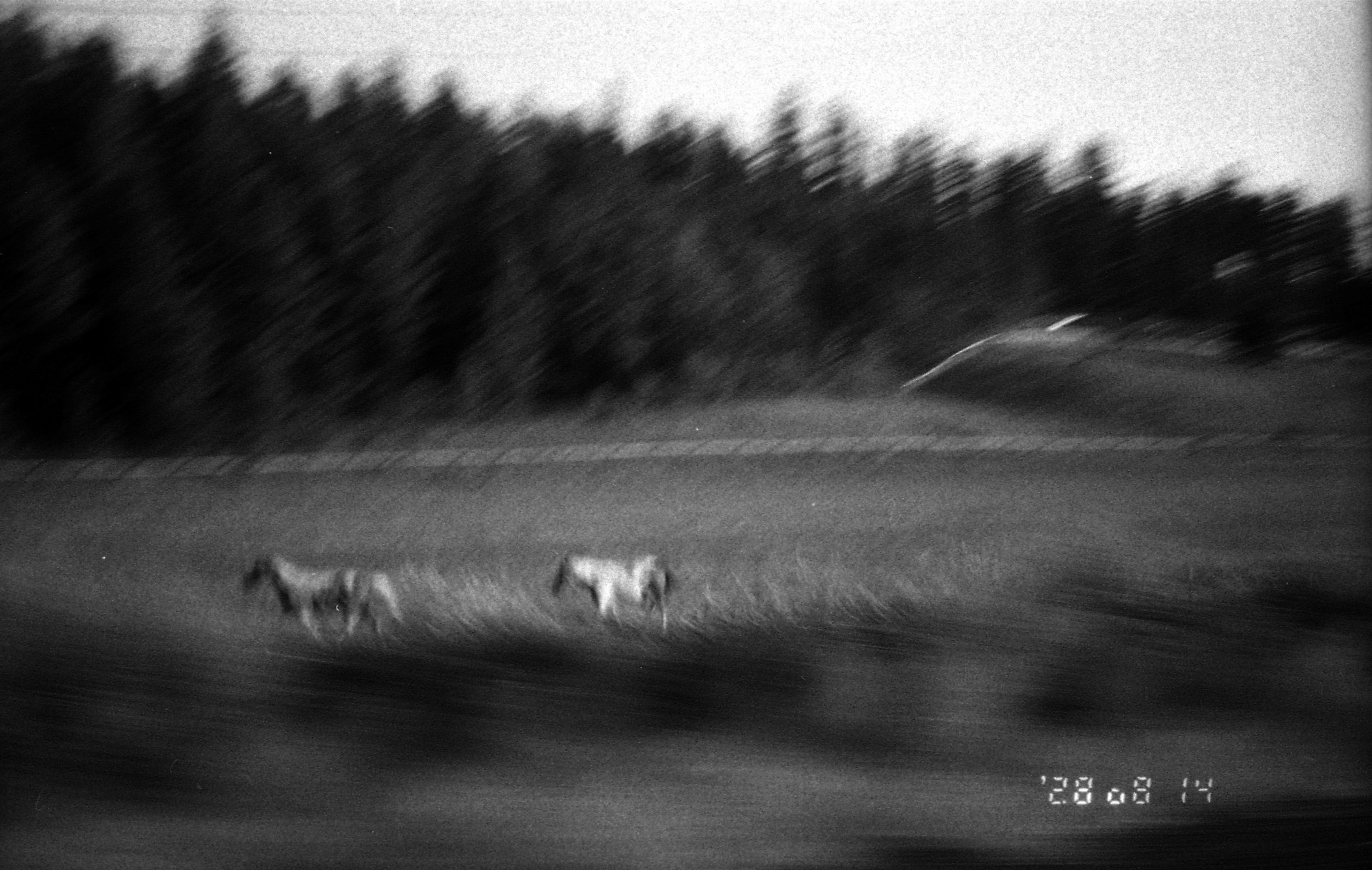 Milo Krims - Spokane Arts